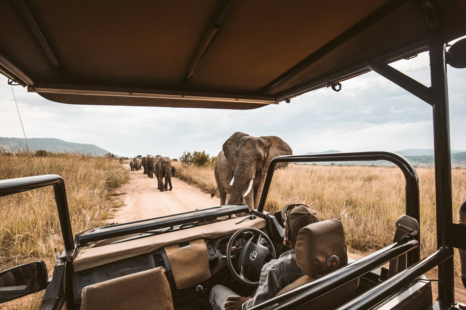Top Emerging African Safari Destinations for 2025: Beyond the Mara ...